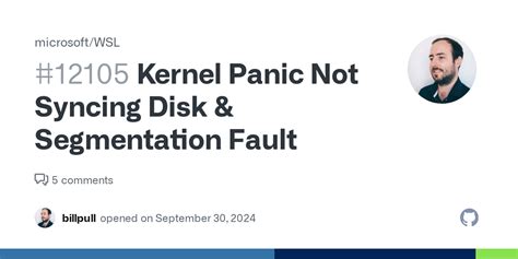 Kernel Panic Not Syncing Disk And Segmentation Fault · Issue 12105