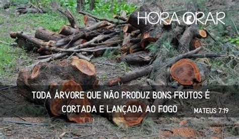 Toda árvore que não produz bons frutos é cortada e lançada ao fogo Hora de Orar Devocional