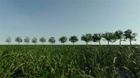 Hypertrees Treapl Hyperplants Jan Srnka