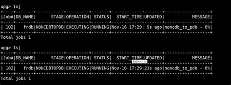 Oracle Autoupgrade 工具介绍、使用 踏雪无痕2017 博客园