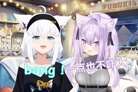 【熟肉】被小粥吓到想要反击却失败的小狐狸 狐笋种植基地的园长 狐笋种植基地的园长 哔哩哔哩视频