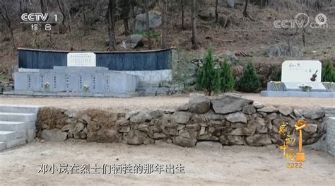 【感动中国2022年度人物颁奖盛典】邓小岚：幽谷兰香远