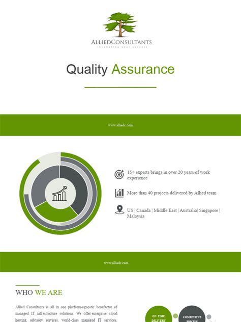 quality assurance pdf software testing systems thinking