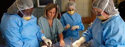 Perioperative Nursing Certification Best Approved Guide Education Planet Online