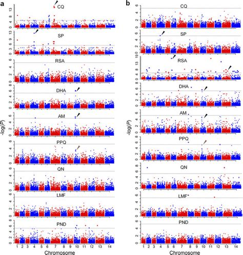 Manhattan Plots Showing The Significance Of Snp Association In The Download Scientific Diagram
