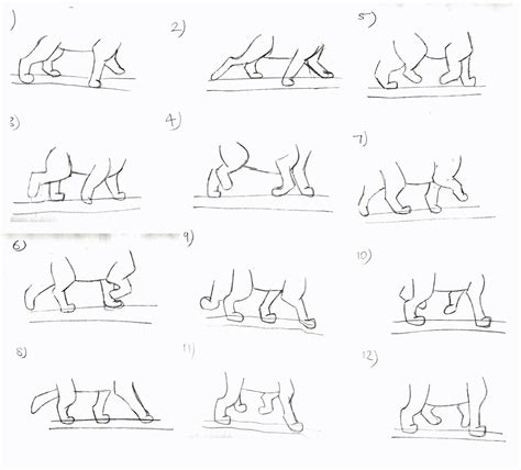 Cat Walk Cycle Animation Walk Cycle Cat Walk Cat Refe