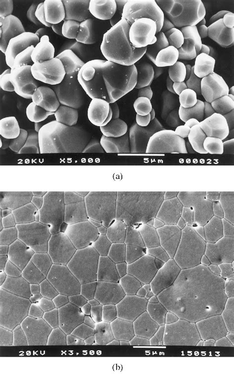 Figure 1 From Microstructural Evolution During Sintering Of Coo Doped Sno2 Ceramics Semantic