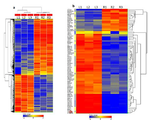 A B Gene Expression Analysis Of Lncap And Metr Cells Total Rna Was