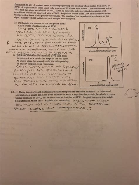 A Mutant Yeast Strain Stops Growing And Dividing When