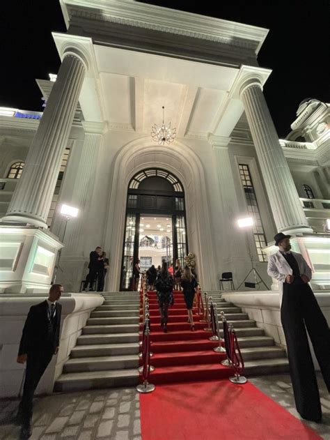 Viki Miljković Radila Na Uredjenju Palate Željka Mitrovića Na Dedinju