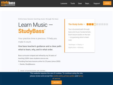 The 11 Best Bass Guitar Lessons Online 2024 Musician Wave