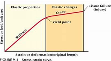 Stretching And Flexibility Flashcards Quizlet