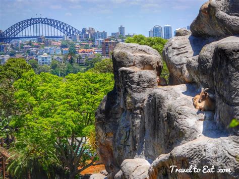 Переезжаем в Австралию Как россиянину получить австралийскую визу — Pixoid ЛЮБОПЫТНЫМ ОТ