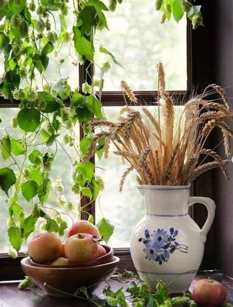Pin By Gilvan Raimundo On Arquivo 1 Still Life Photography Still