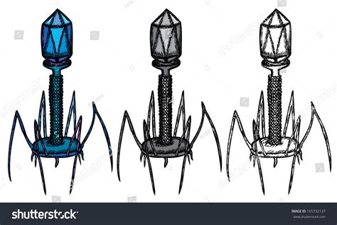 Bacteriophage Lambda Stock Vector Royalty Free 165732137 Shutterstock