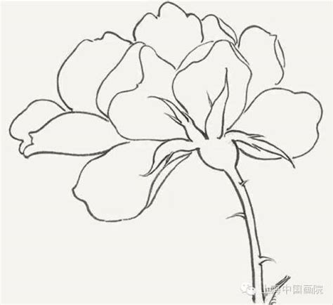 花朵簇簇的简笔画 一簇花简笔画 小朋友画的花朵的图片 第10页 大山谷图库