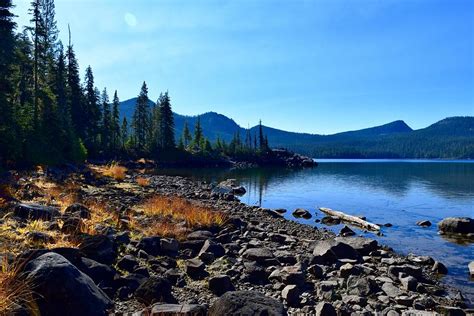 Waldo Lake In Autumn Photograph By Dana Hardy
