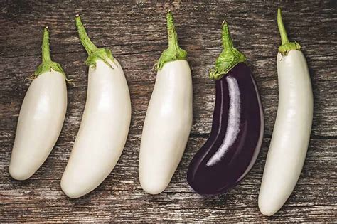9 Of The Best White Eggplant Varieties Gardeners Path