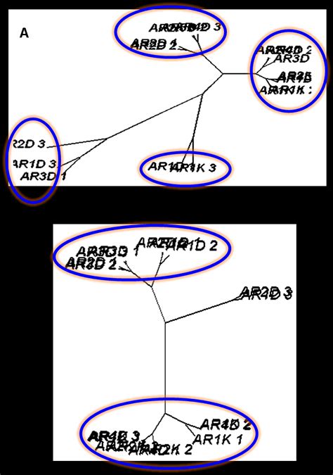 Phylogeny Analysis Based On Pearson Correlation Values Showing A Pre