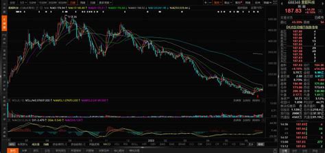 2023上半年十大牛熊股出炉：联特科技以772涨幅居首 中国中免接近腰斩 股票 金融界