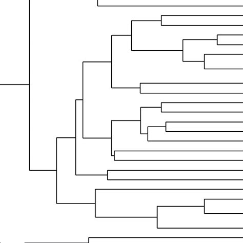 Unweighted Pair Group Method With Arithmetic Means Upgma Clustering