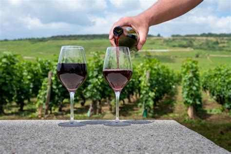 Accompagnement Boeuf Bourguignon Et Vin Muid