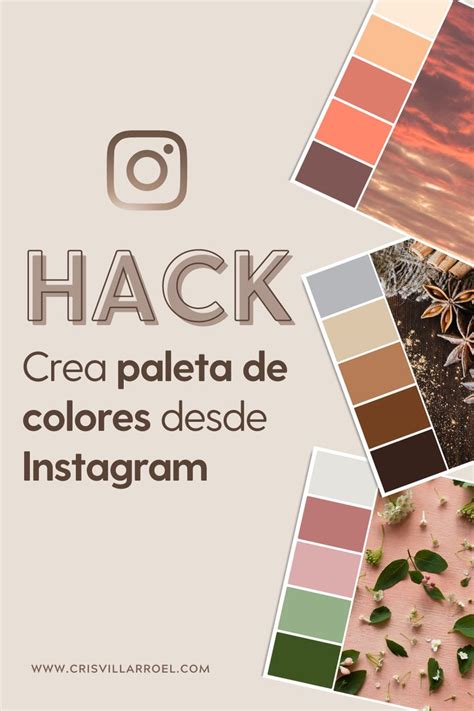 Truco Para Crear Paletas De Colores Paletas De Colores Diseño De