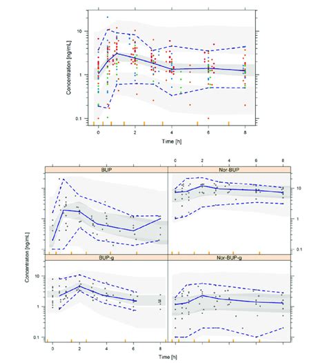 Prediction Corrected Visual Predictive Check Of The Final Population