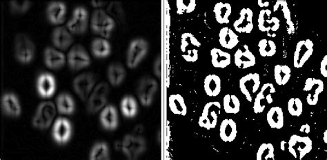 2 Left Sobel Gradient Magnitude Of The Test Image In 1 Right The High Download Scientific