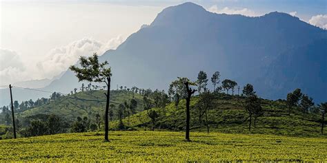 Discover Romantic Places To Visit In Ooty For Couples Tripxl