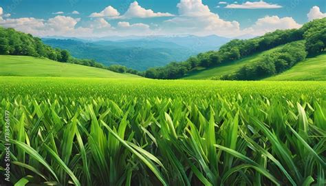 Grass Field Background Video Game Retro Graphics Background Level