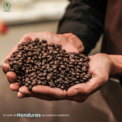 Ecpph El Café De Honduras Representa Nuestro Origen