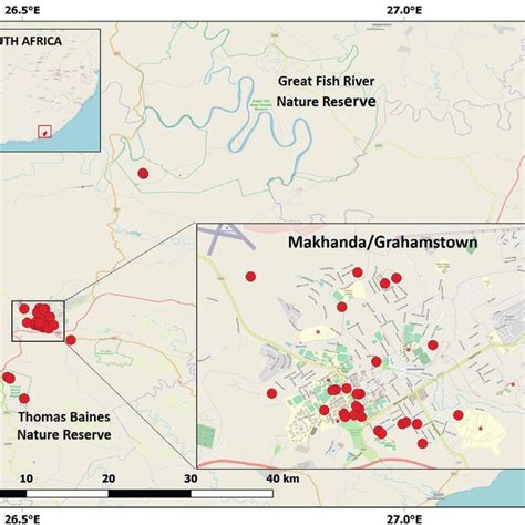 Map Indicating The Spread Of The New Records Of Lygodactylus Capensis Download Scientific