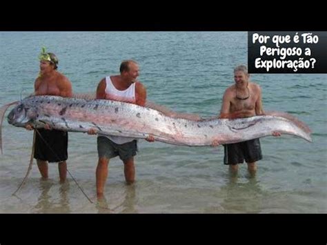 O que Sabemos Sobre as Profundezas do Oceano E por que é Tão Arriscado