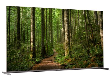 Sony XR-65X95J TV Review - Consumer Reports