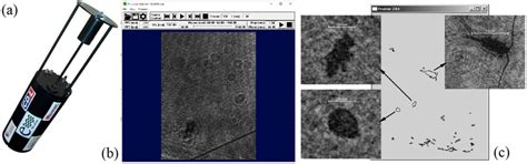 Eholocam A Data Processing Software Holocruncher B And A