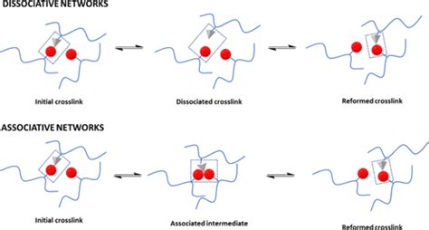schematic representation of dissociative and associative types of cans download scientific