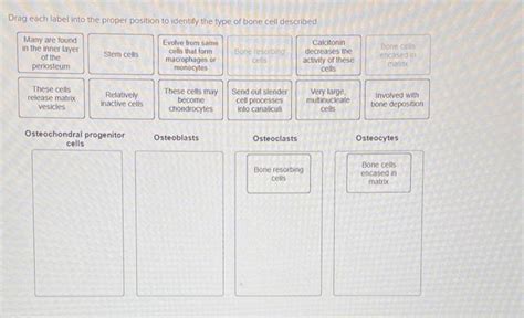 Solved Drag Each Label Into The Proper Position To Identify