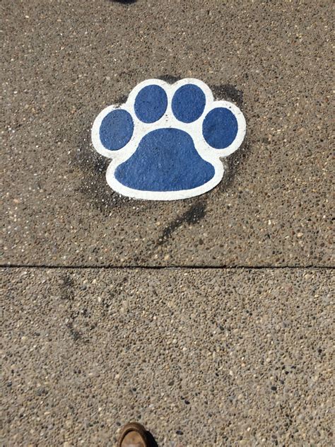 Side Walks Of Campus Walks Campus Siding Sidewalk Side Walkway