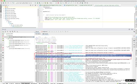 Unable To Read Nacos Configuration File · Issue 3182 · Alibabanacos