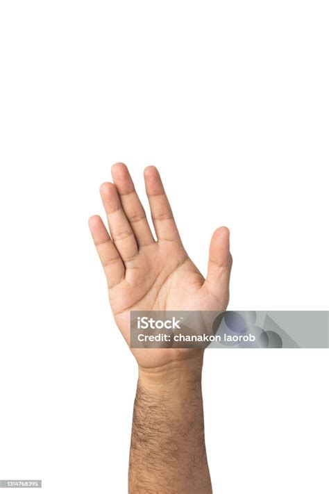 손이 공기격리 된 흰색 배경까지 올렸다 국가의 지도자의 과반수 투표에 대한 투표를 손을 들어 클리핑 경로 결정에 대한 스톡 사진