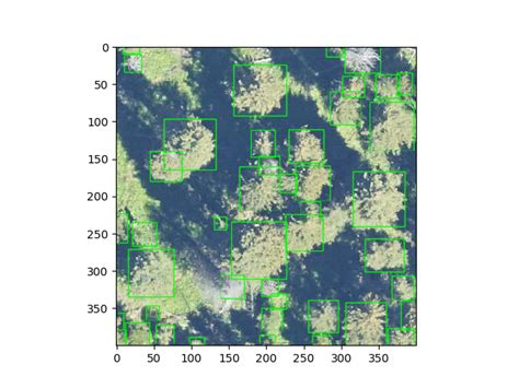 deepforest weecology