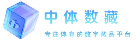 中体数藏