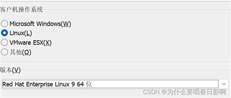 redhat enterprise linux 9 新手安装和配置教程 linux9 csdn博客