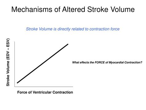 PPT How Do We Measure Heart Performance Cardiac Output Blood Volume Per Minute PowerPoint