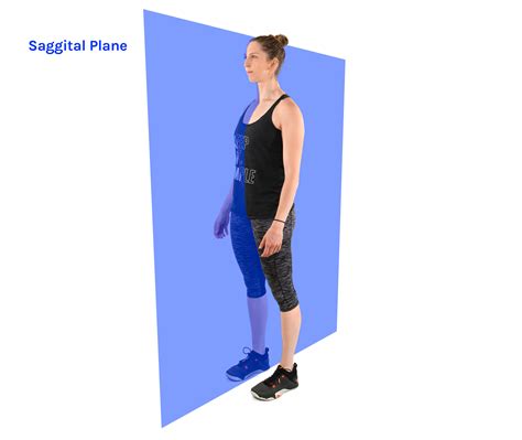 Sagittal Plane Movements