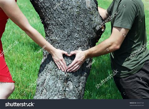 Couple Putting Their Hands On Tree Stock Photo Shutterstock