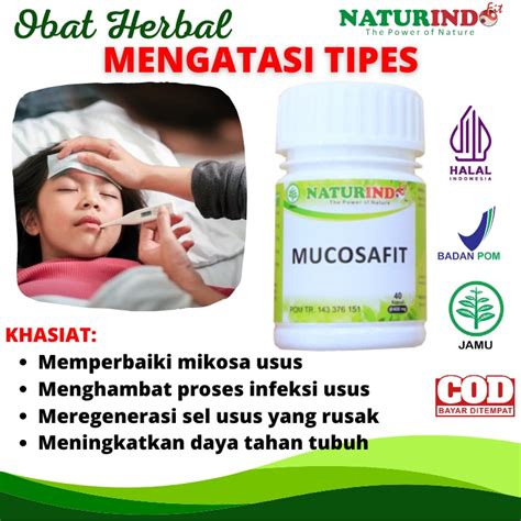 Jual Obat Tipes Tifus Typus Demam Tinggi Tifoid Mual Muntah Diare