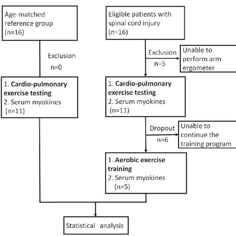 Flow Diagram Of Experiment Download Scientific Diagram