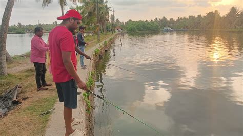 കുമ്പളങ്ങിയിൽ ഒരു നാടൻ മീൻ പിടുത്തം Kumbalanghi Village Traditional